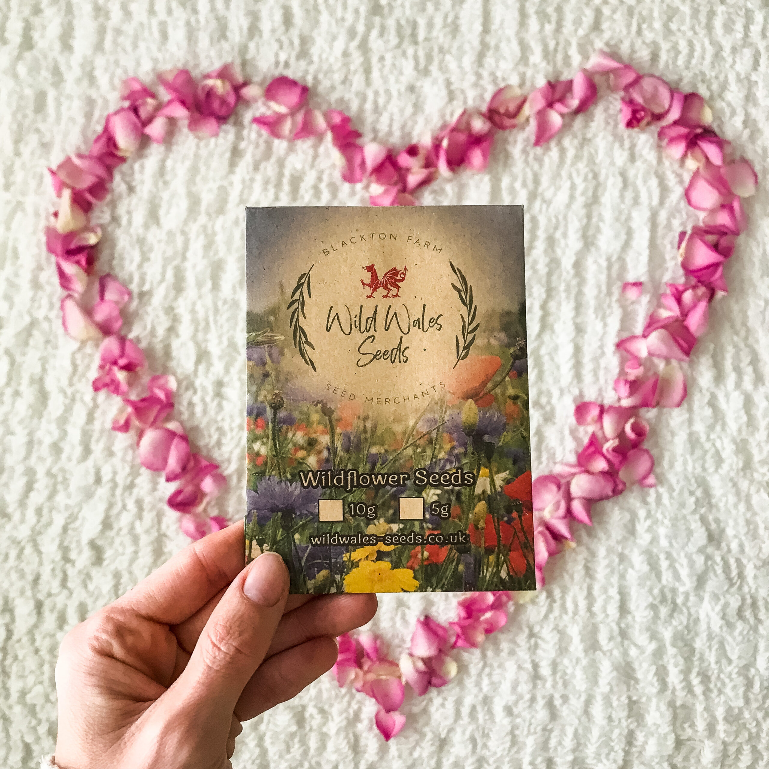 'Mother's Day' Wildflower Seed Gift Box Collection - Wild Wales Seeds